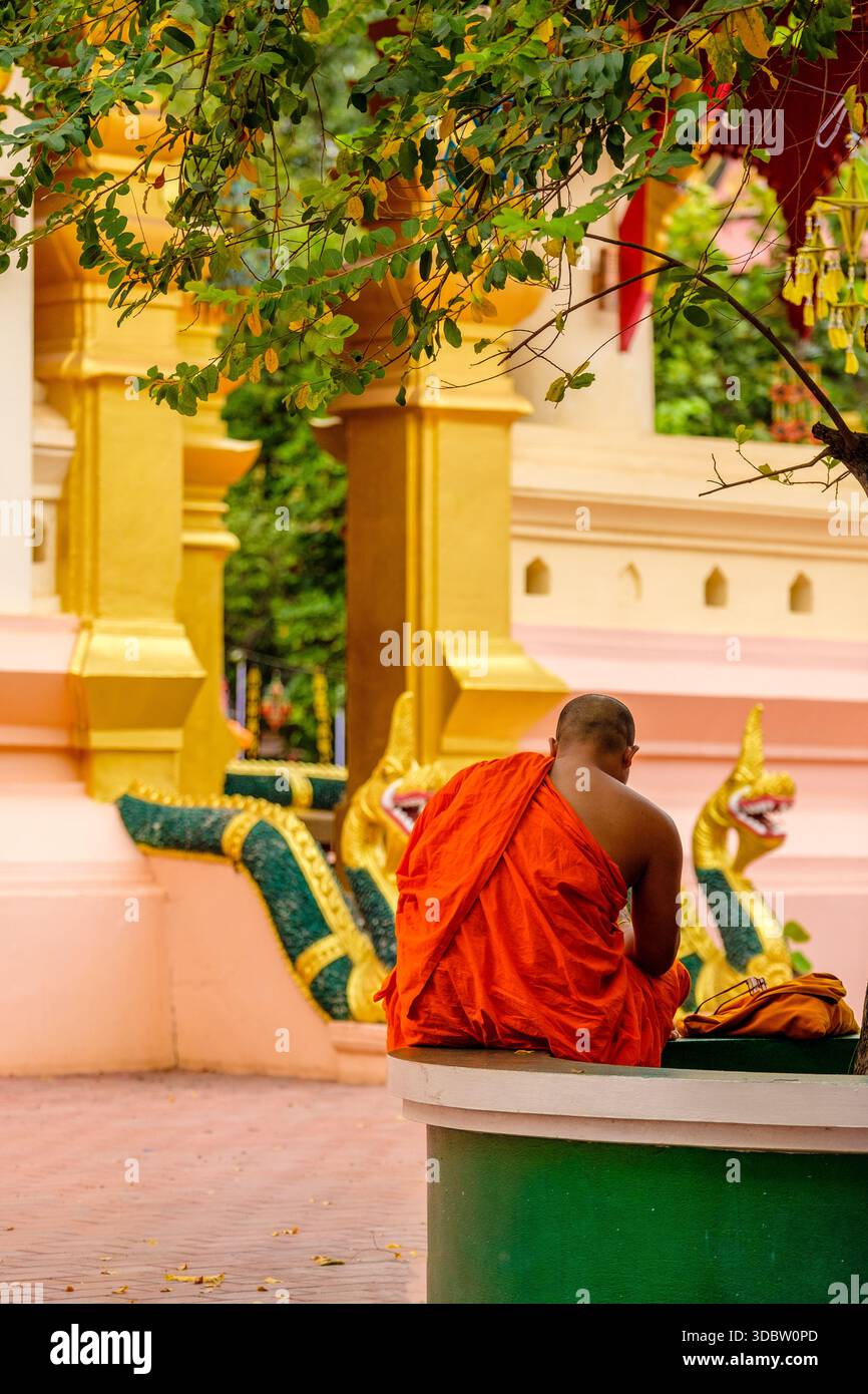 Buddhist monk resting beneath a tree at a temple in Vientiane , Laos ...