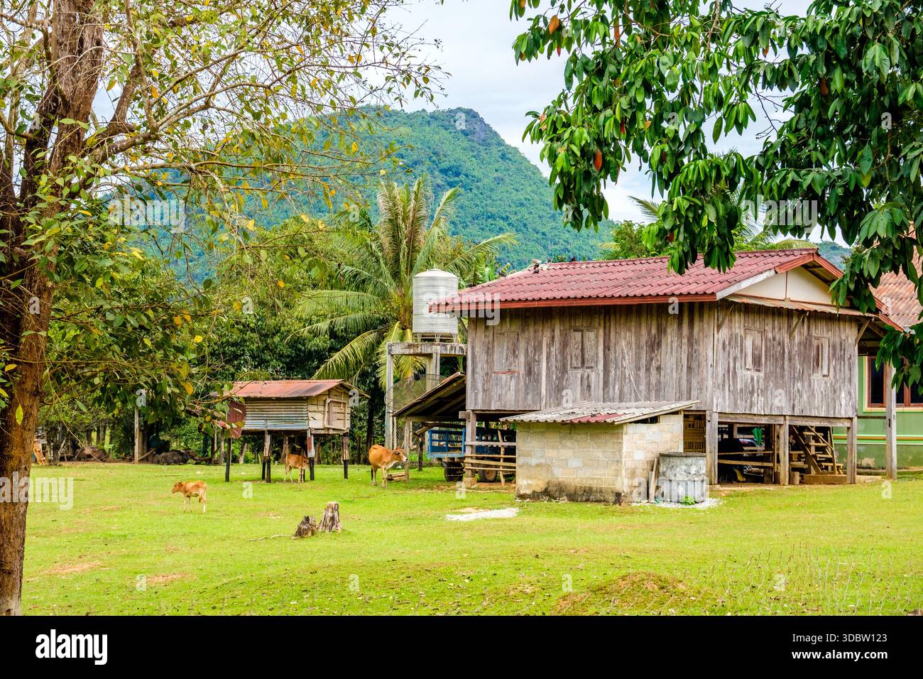 Traditional Lao farm buildings built on stilts near Vang Vieng, Laos ...