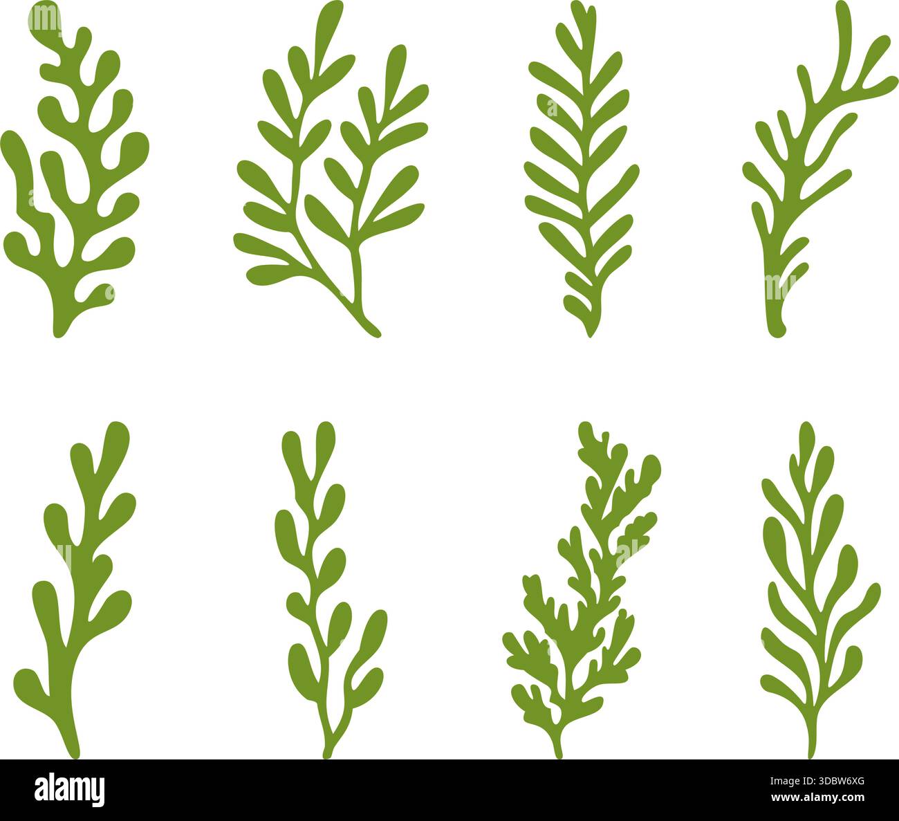 Set seaweed plants Stock Vector Images - Alamy