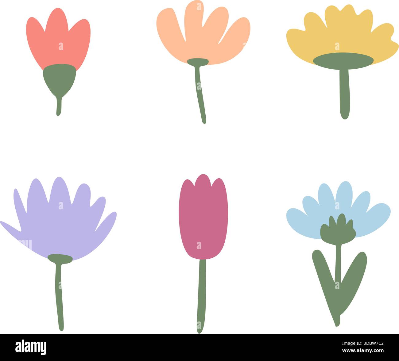 Yellow wildflower bloom in Stock Vector Images - Alamy