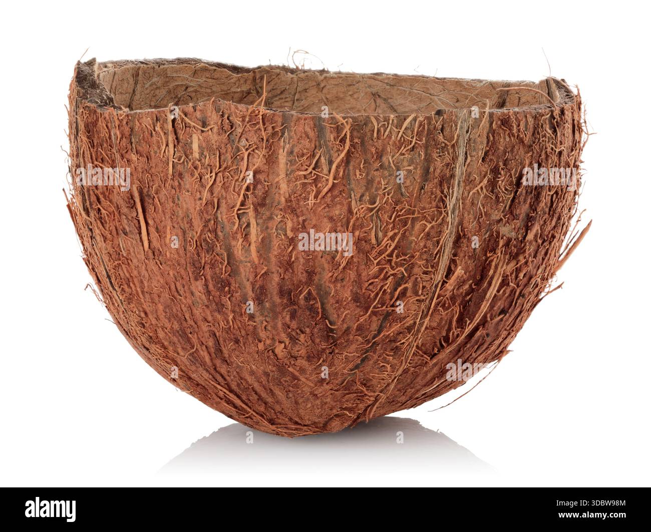 Half coconut shell with hard husk, empty inside, usable as a bowl ...