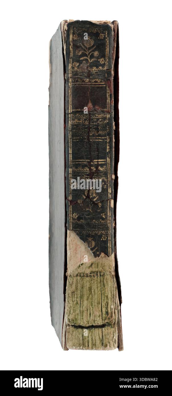 Side view of an antique book spine with aged leather texture and ...