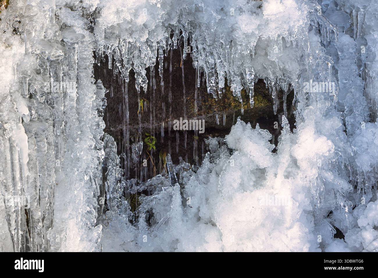 Hints of natural forms hi-res stock photography and images - Alamy