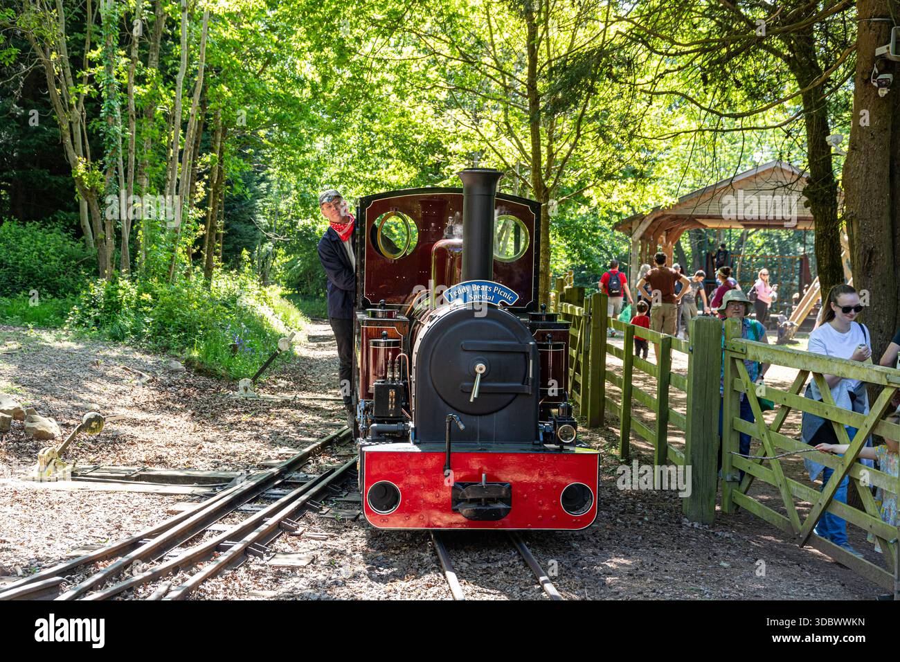 Teddy bears picnic special hi-res stock photography and images - Alamy