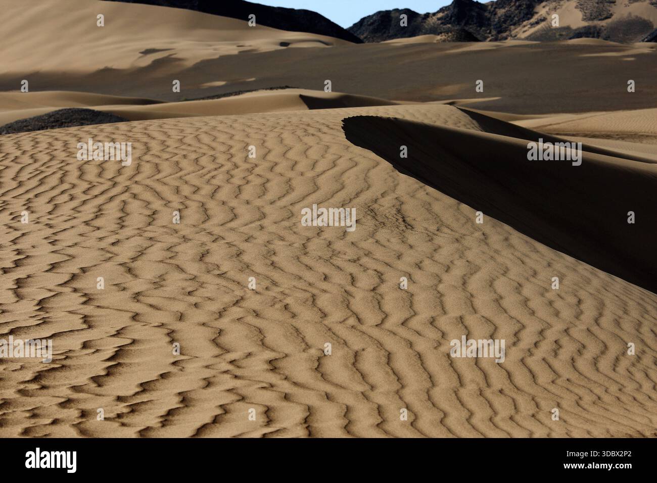 Vast sand dunes stretch towards hi-res stock photography and images - Alamy