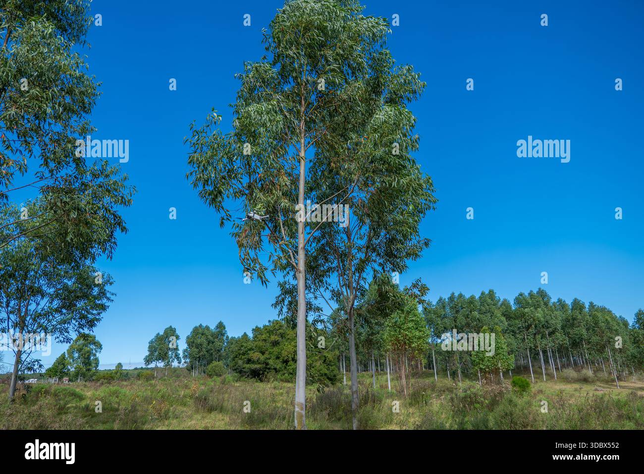Horizontal view gently sloping hi-res stock photography and images - Alamy