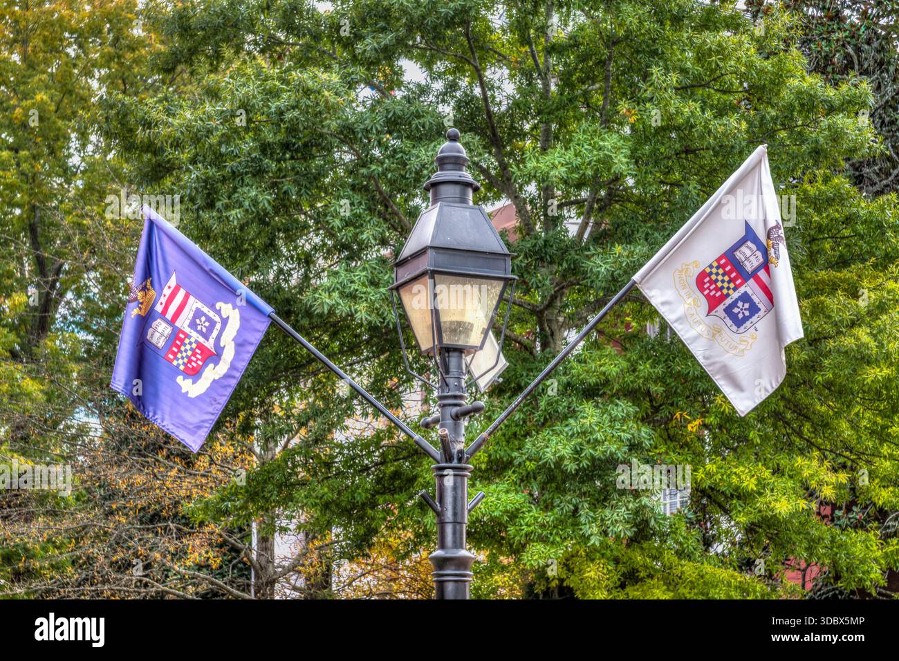Lynchburg, VA, USA, October 26, 2025: School flags on the campus of ...
