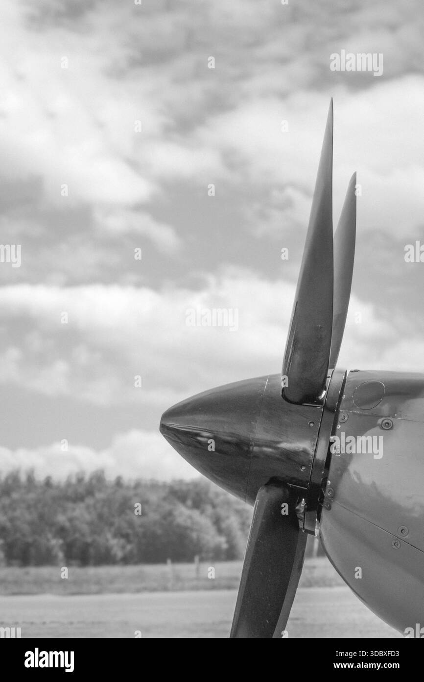 Stylized photography Black and White Stock Photos & Images - Alamy