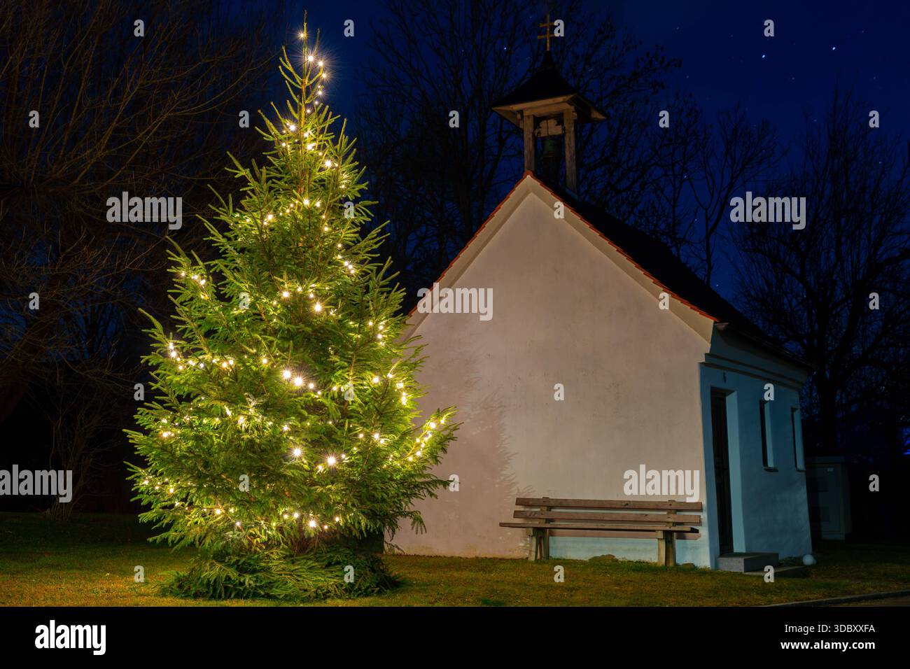 Bavaria, Germany - December 18, 2025: A festively lit Christmas tree ...