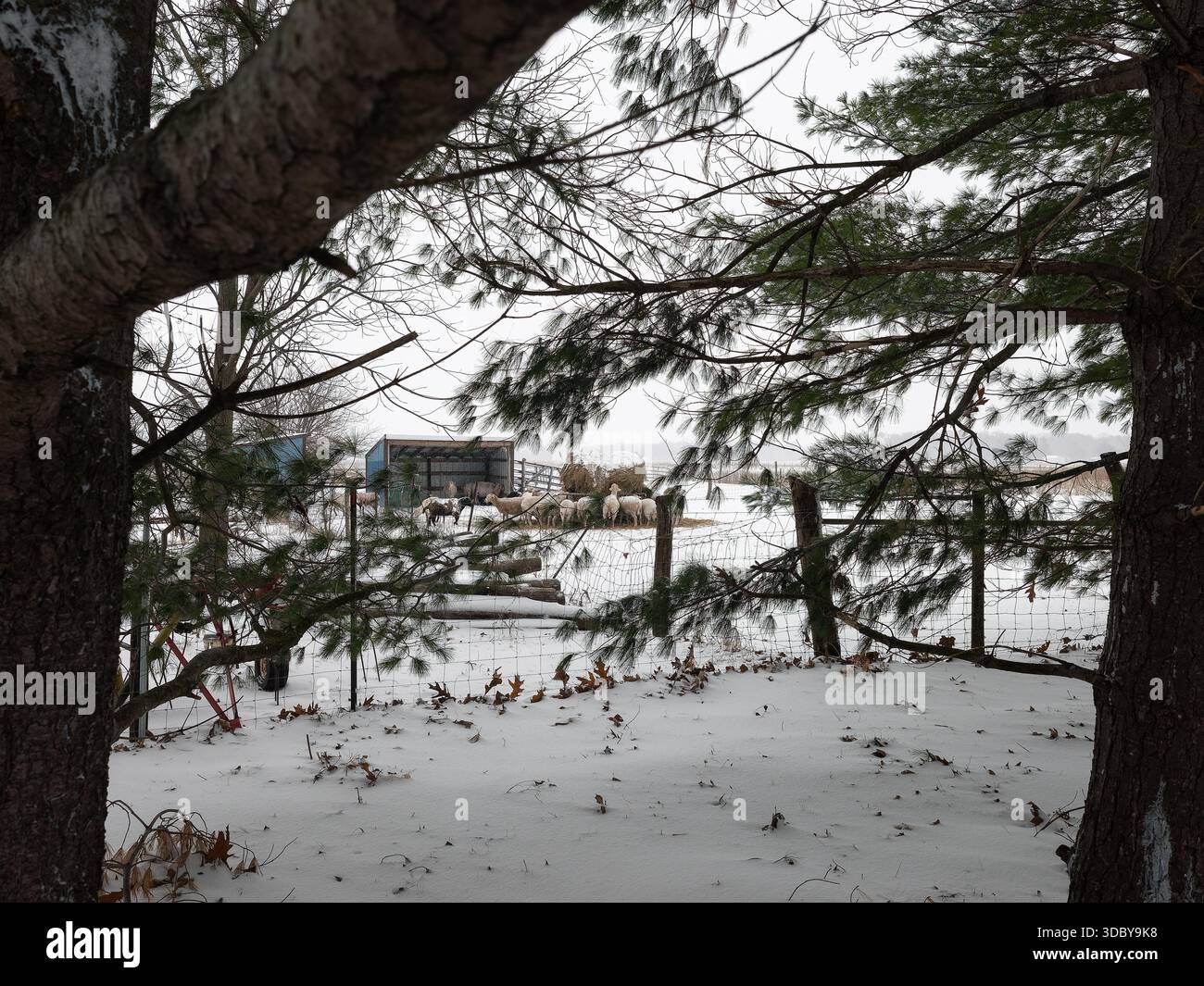 Midwest farm winter hi-res stock photography and images - Alamy