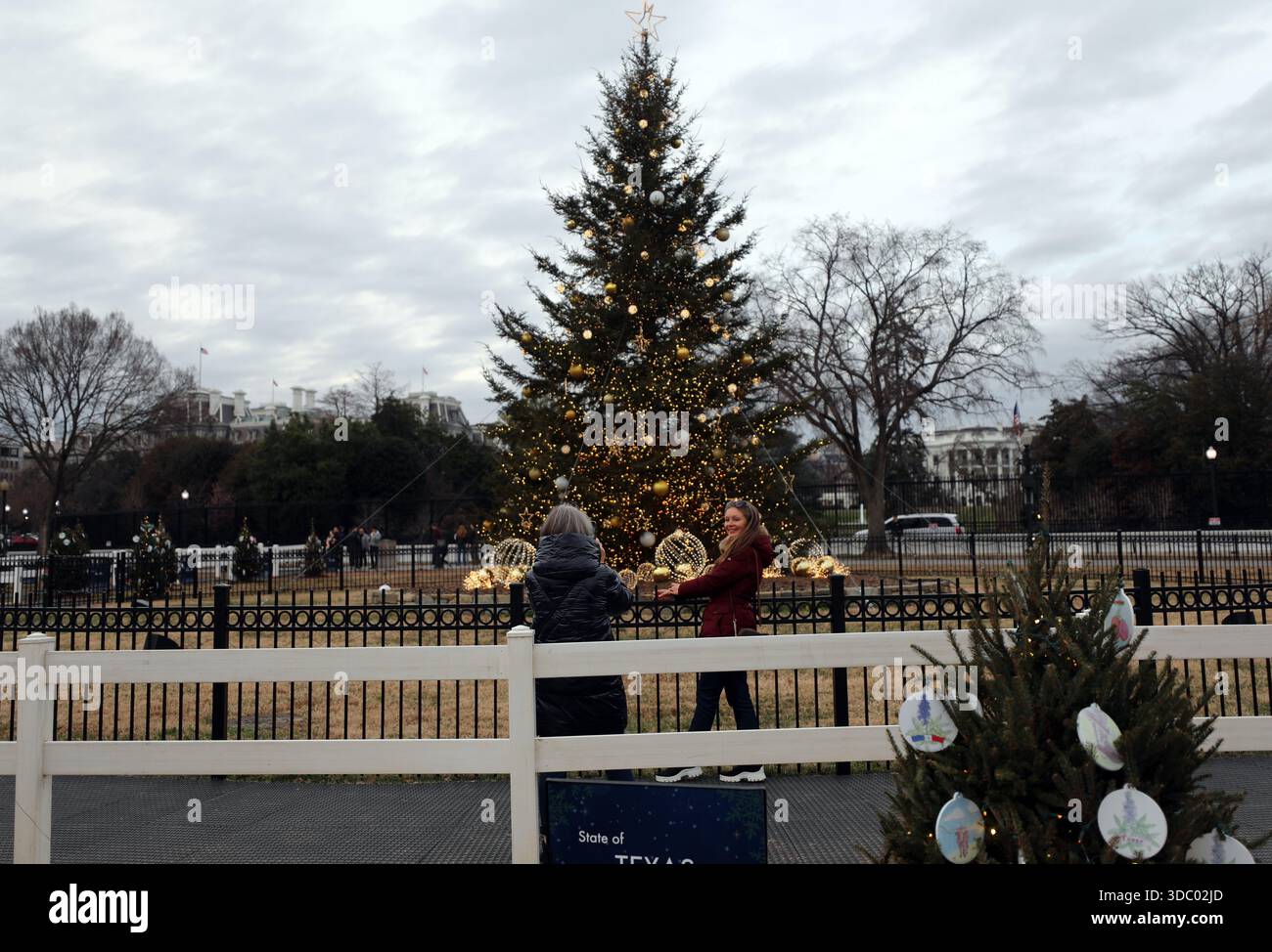 Visitors pose in front of the National Christmas Tree on the Ellipse ...