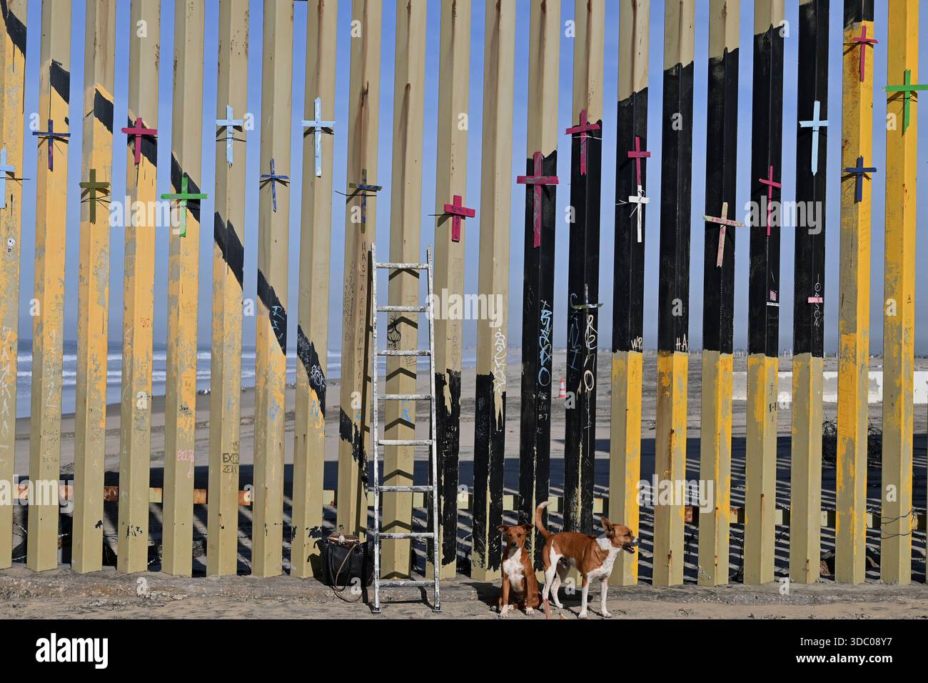 Street dogs explore where border activists placed crosses on the US ...
