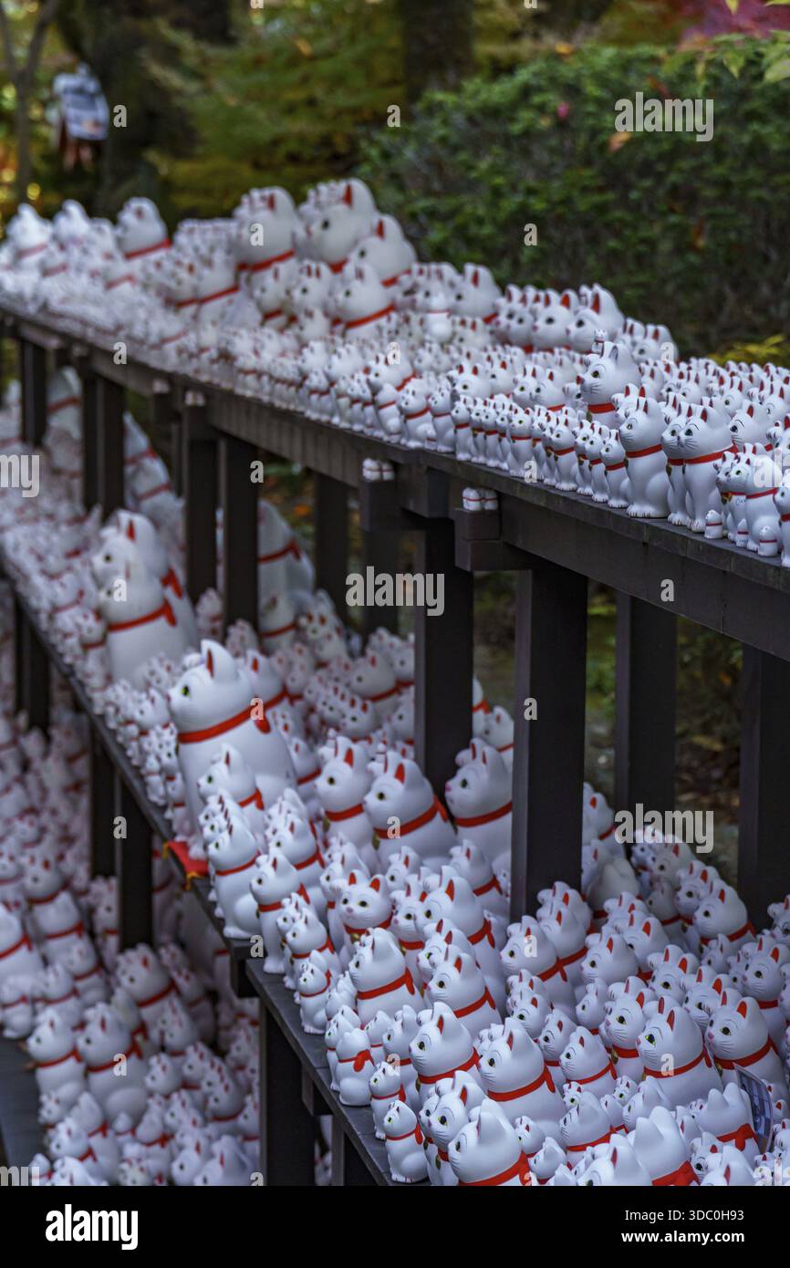 Maneki-neko figures of different sizes lined up close together on ...
