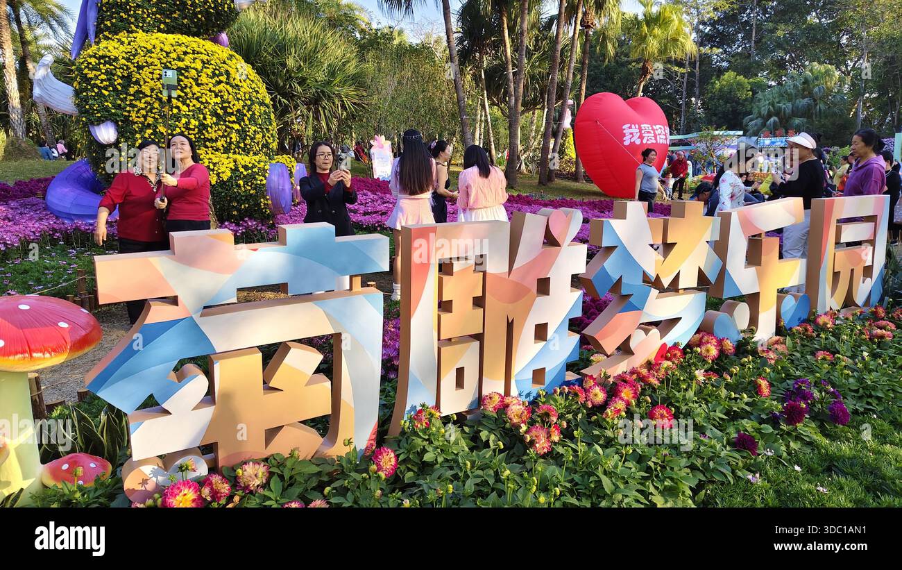 A chrysanthemum show is held at Donghu Park in Shenzhen City, south ...