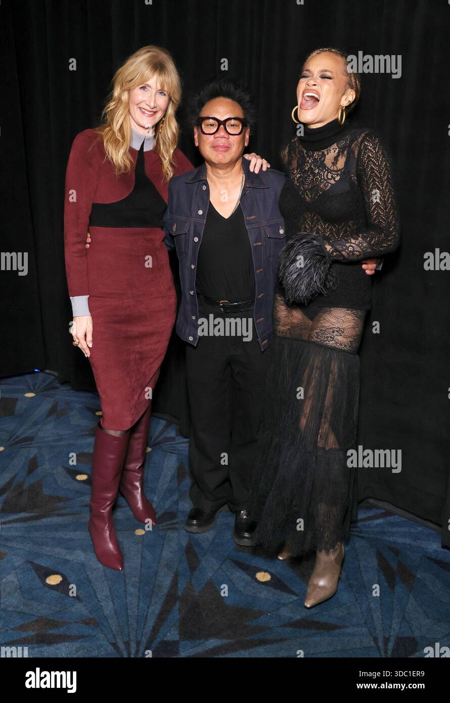 18 December 2025 - Los Angeles, California - Laura Dern, Matthew ...