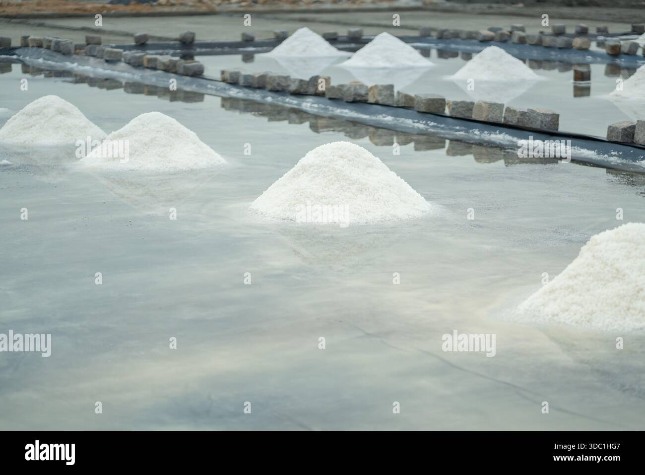 Farm in Vietnam with sea salt piles pyramids lying on ground ready for ...