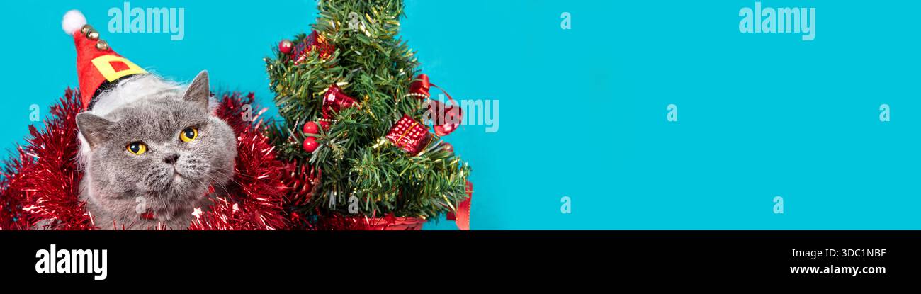 2026 santa hat christmas hi-res stock photography and images - Alamy