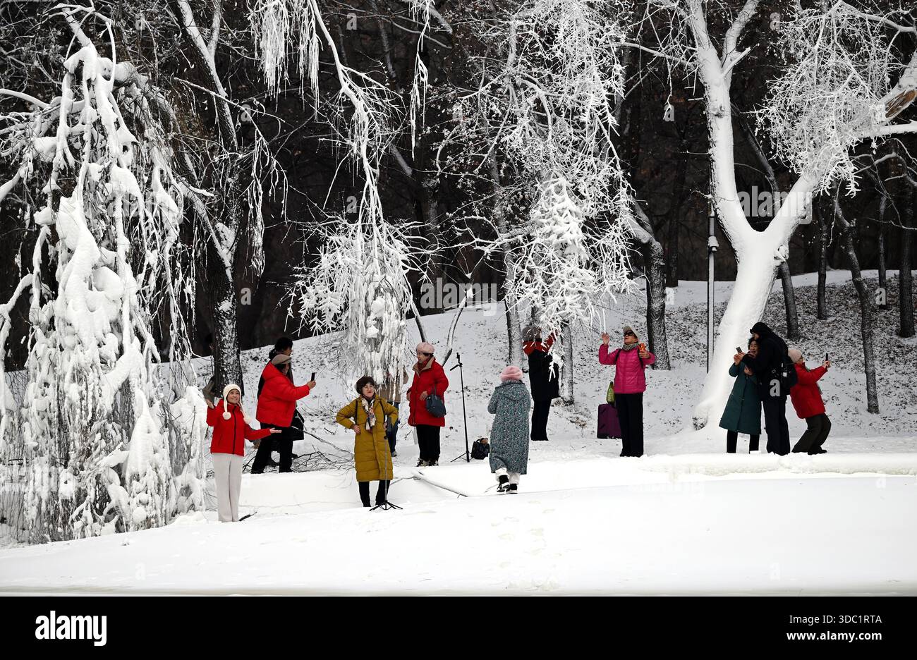 People experience the New Year atmosphere at Beiling Park in Shenyang ...