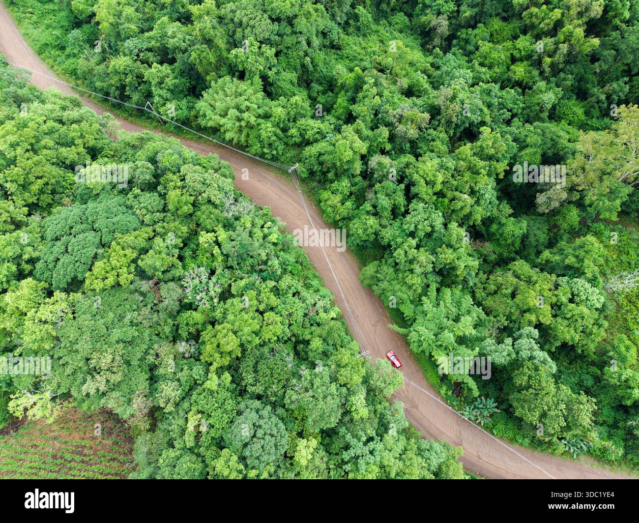 Aerial view of a sandy road between trees in southern Brazil Stock ...