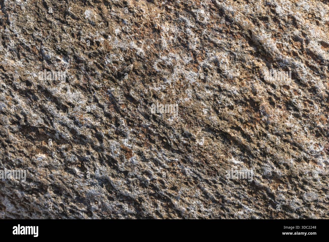 Close-up of a rugged rock surface showing granular texture, earth tones ...