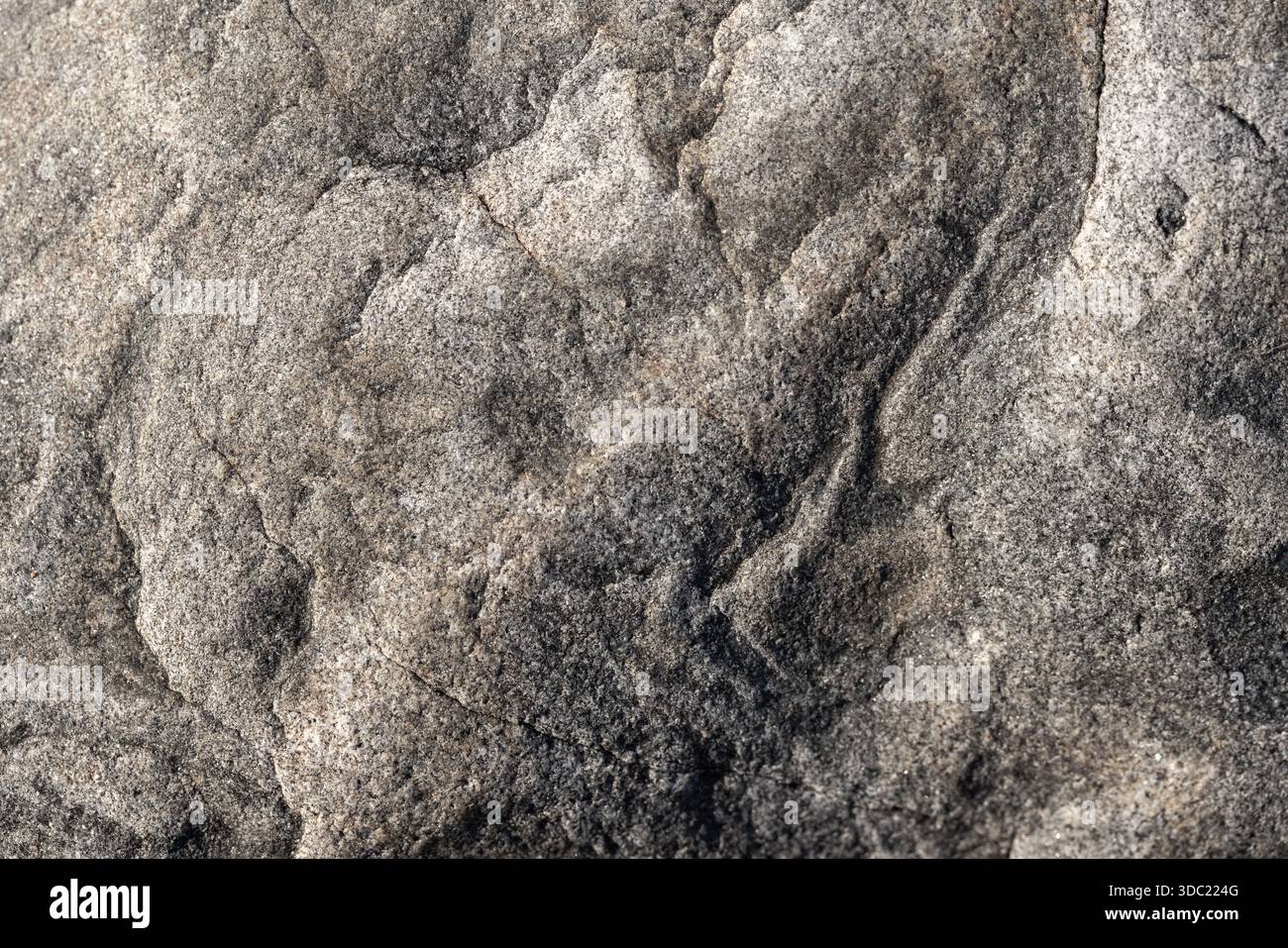 A detailed close-up image of a rugged rock surface featuring gray ...