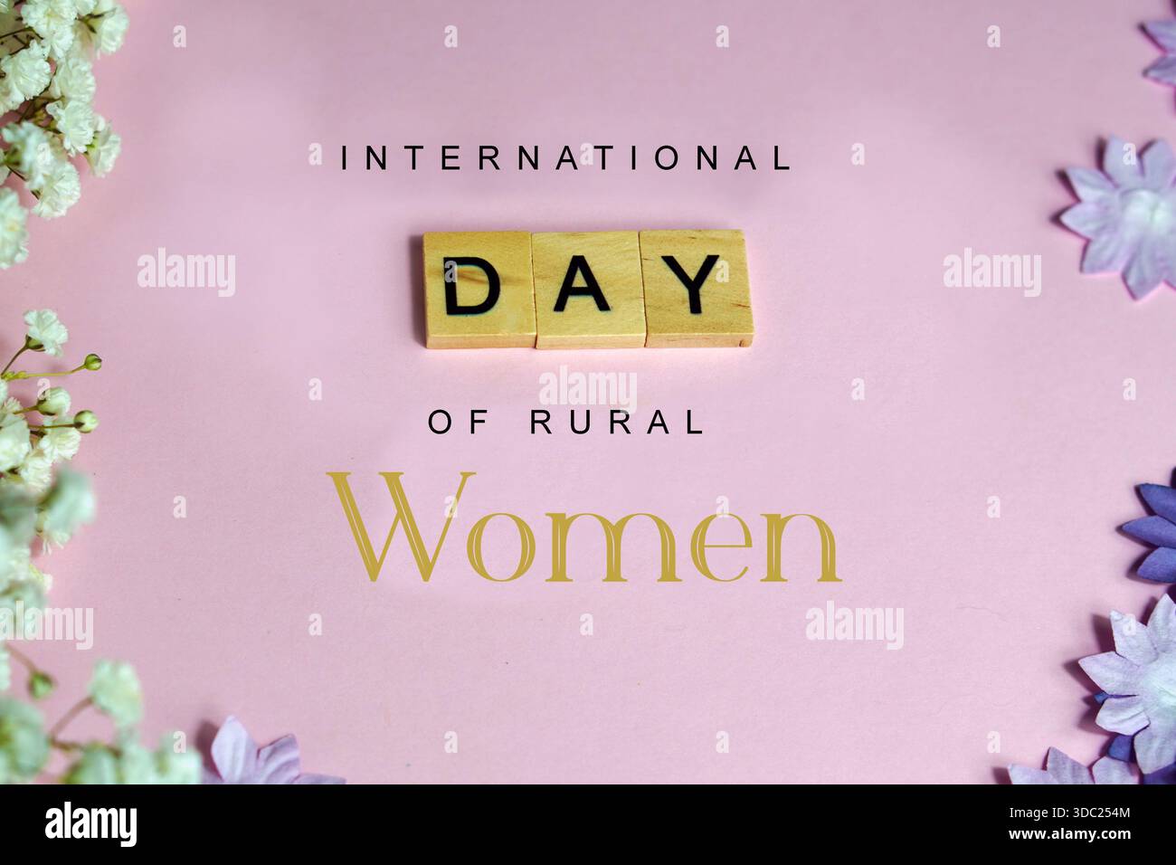 International Day of Rural Women. Text on a pink background with ...
