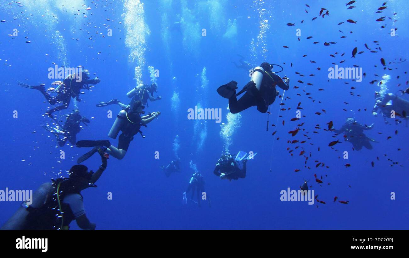 Scuba team hi-res stock photography and images - Alamy