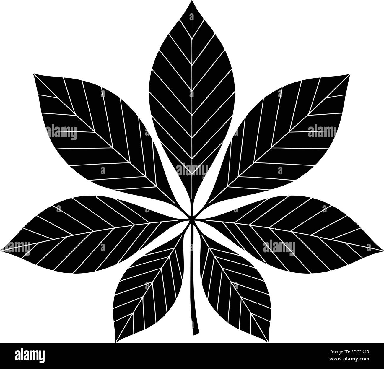 Abstract shapes of greenery Black and White Stock Photos & Images - Alamy