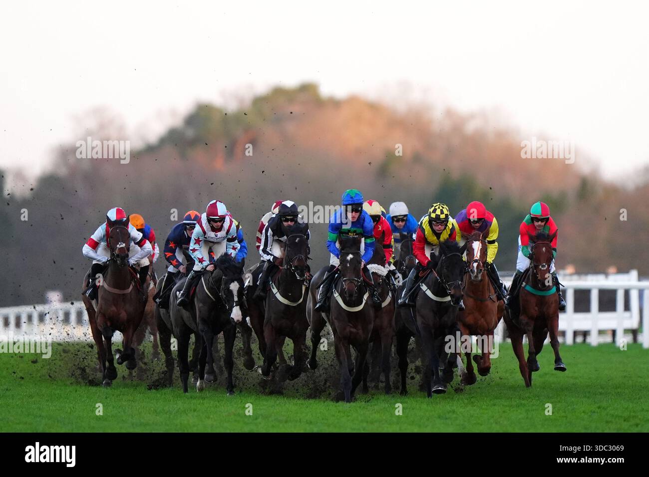 King edward vii ascot membership open national hunt flat race hi-res ...