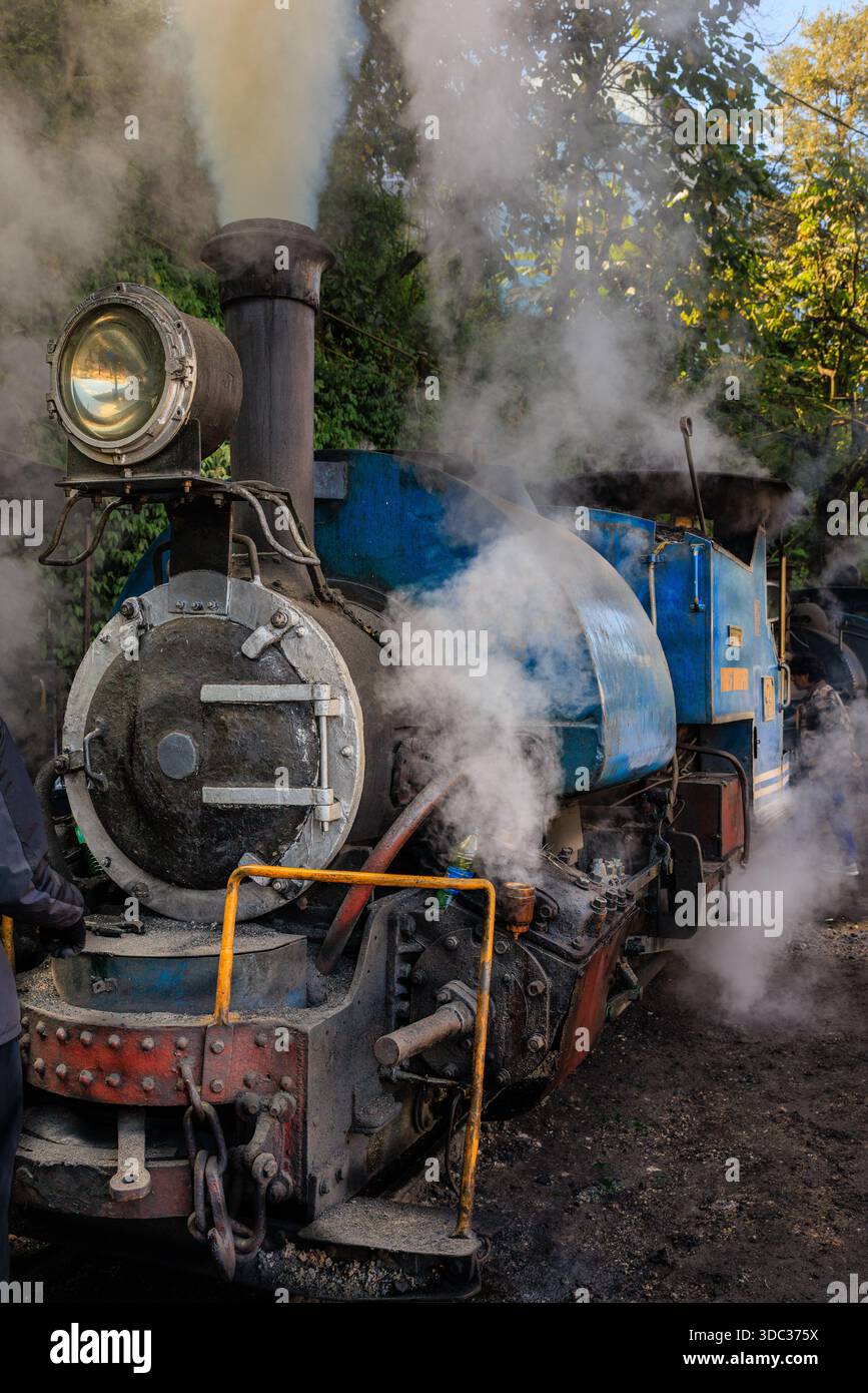 historic blue locomotive steam engine forest whisper of the darjeeling ...