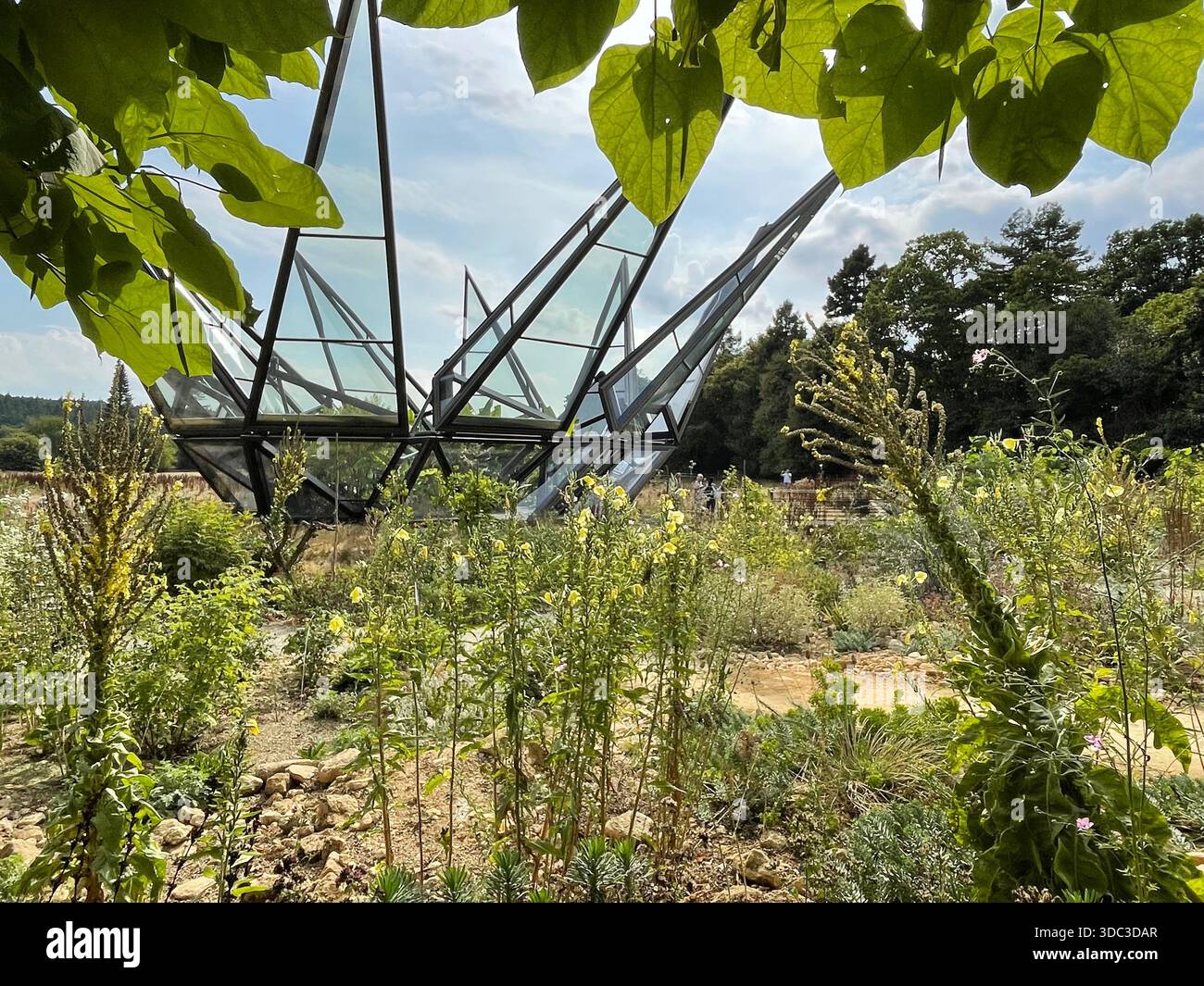 The structure is a ten‑sided kinetic glasshouse designed by Heatherwick ...