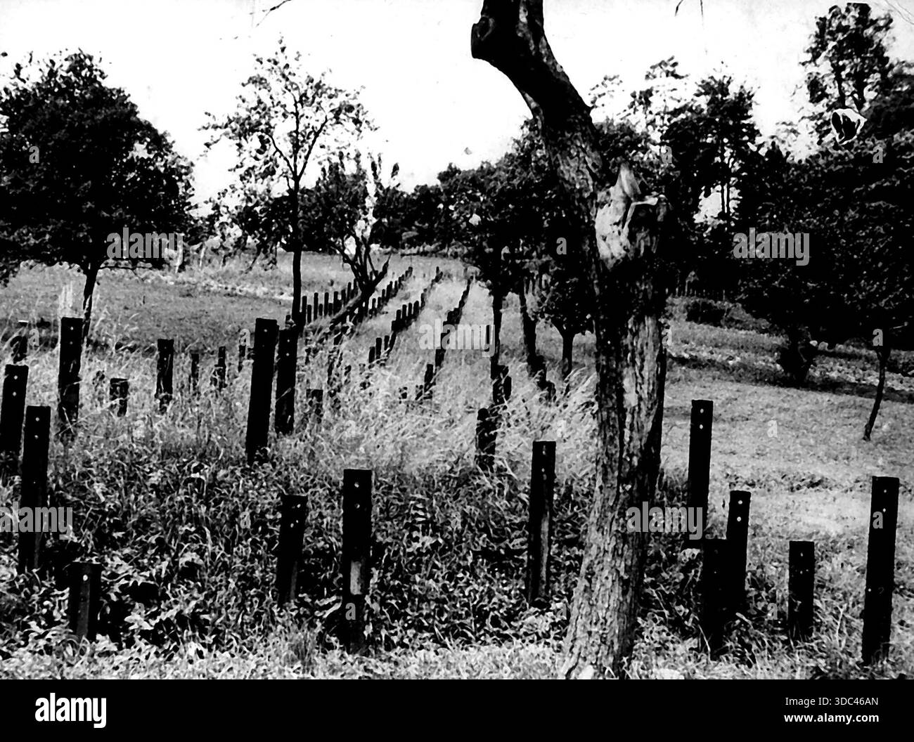 French Fortifications On The German Frontier: An anti-tank barrier of ...