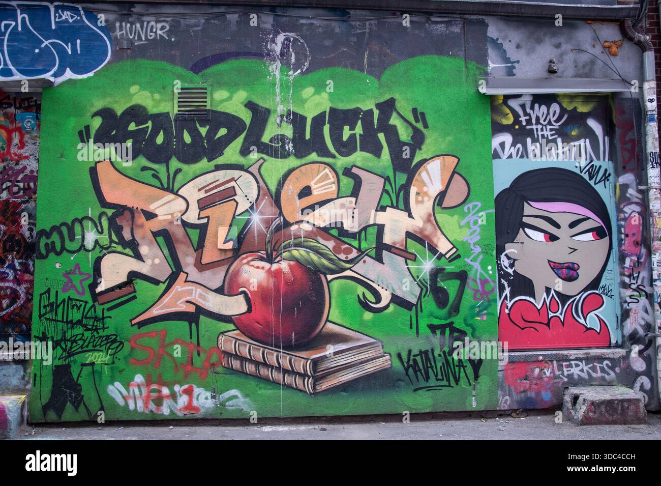 Good luck Riley mural at Graffiti Alley fashion district in downtown ...