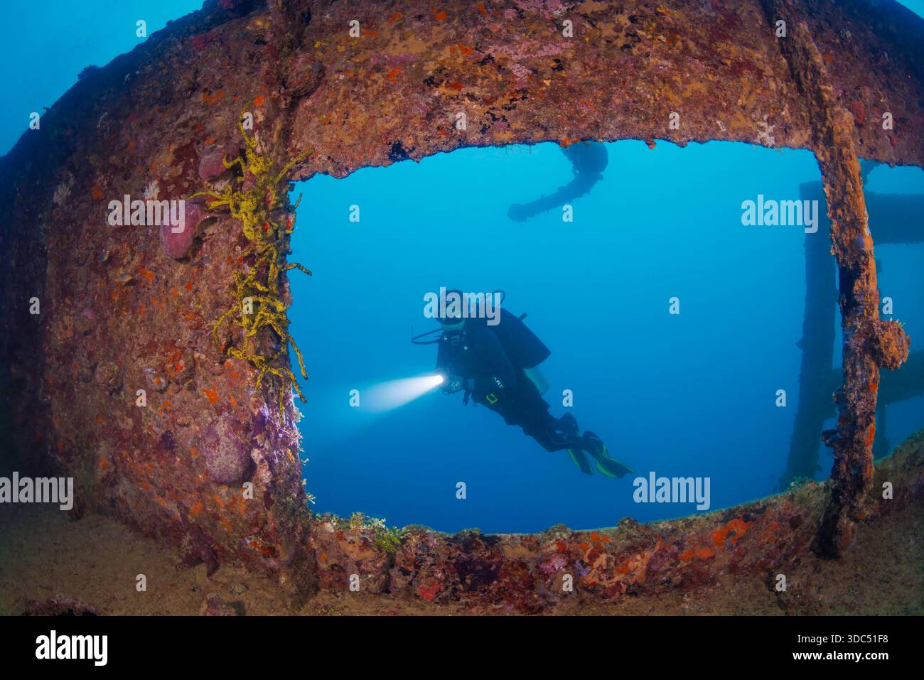 Tokai maru hi-res stock photography and images - Alamy