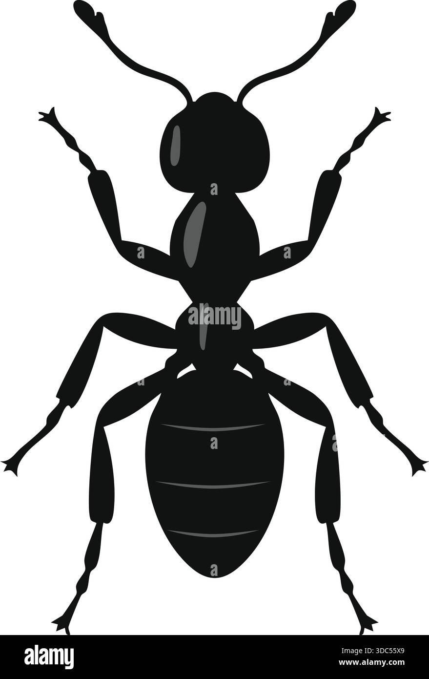 Antennae body Stock Vector Images - Alamy