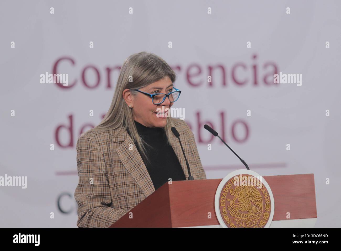 Mexicos President Claudia Sheinbaum Press Conference Rocio Mejia Flores ...