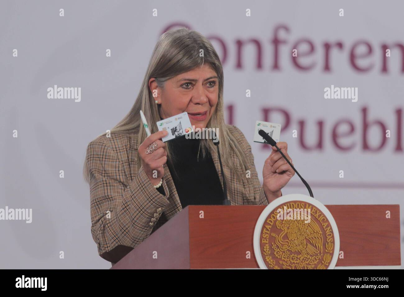 Mexicos President Claudia Sheinbaum Press Conference Rocio Mejia Flores ...
