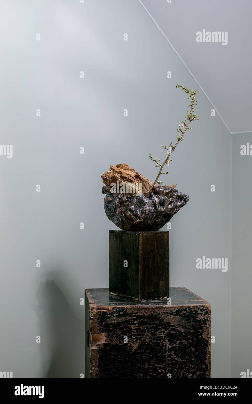 Minimalist sculpture ikebana with small plant growing from natural wood ...