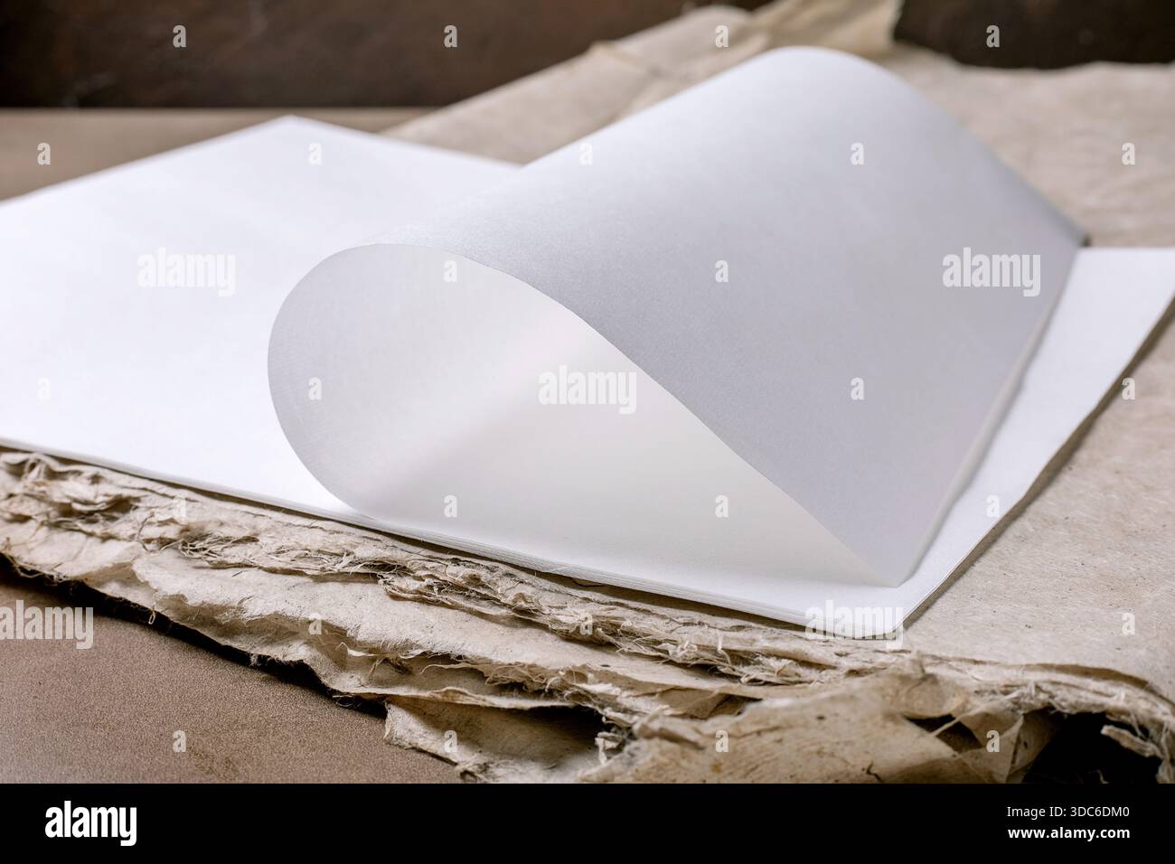 Closeup blank white rice and mulberry paper sheet with curled page on ...