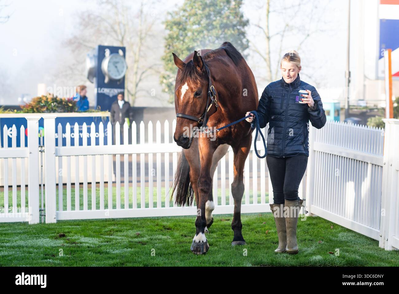 Clarence house chase 2025 hi-res stock photography and images - Alamy