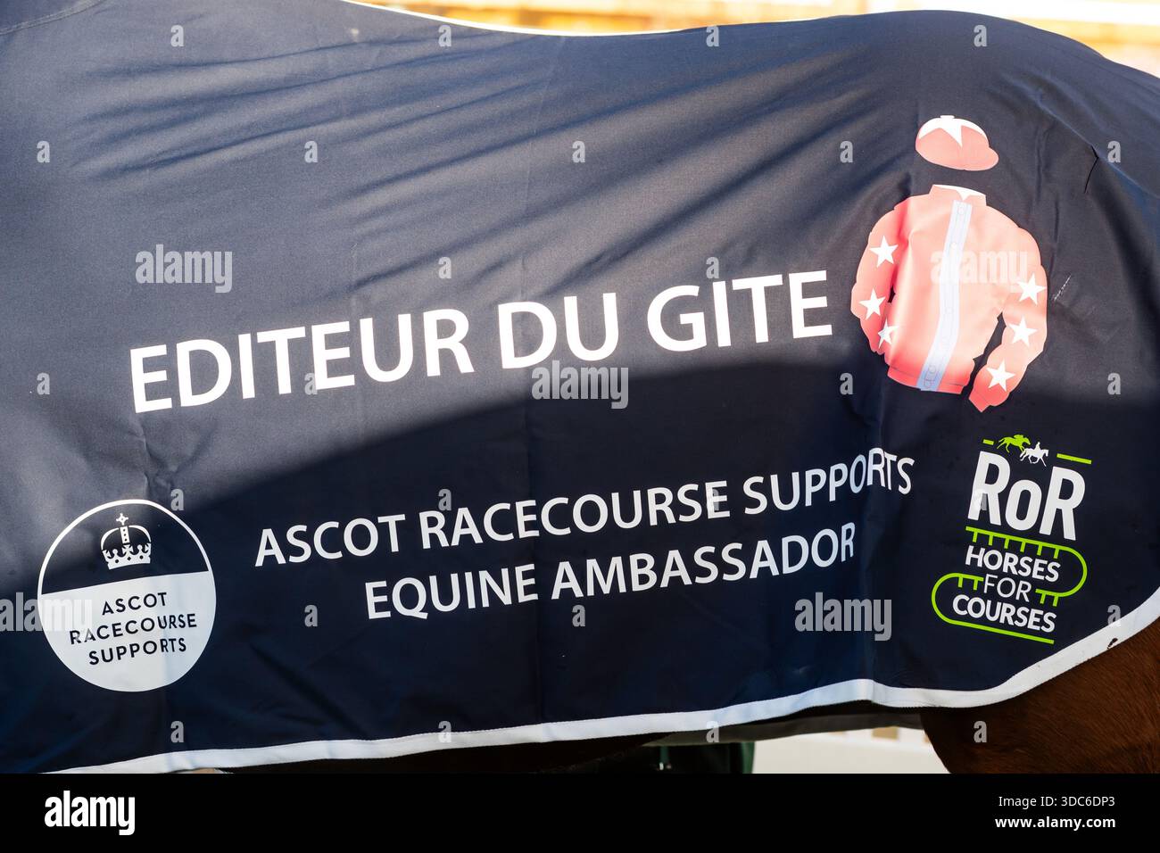 Clarence house chase 2025 hi-res stock photography and images - Alamy