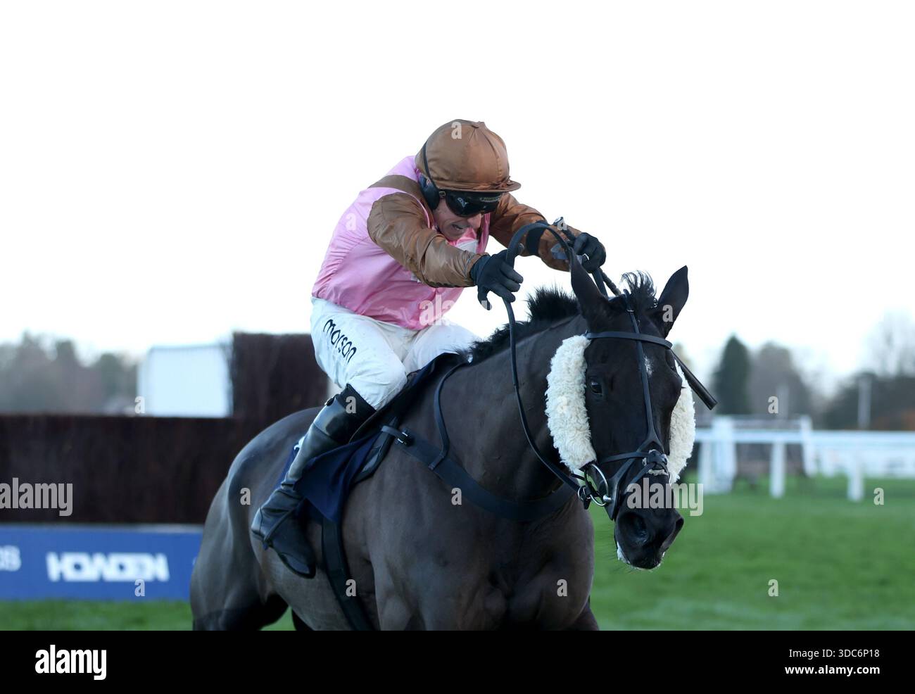 Etalon ridden by Harry Skelton on their way to winning the Howden ...