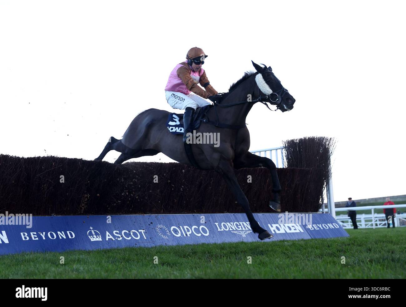 Etalon ridden by Harry Skelton on their way to winning the Howden ...