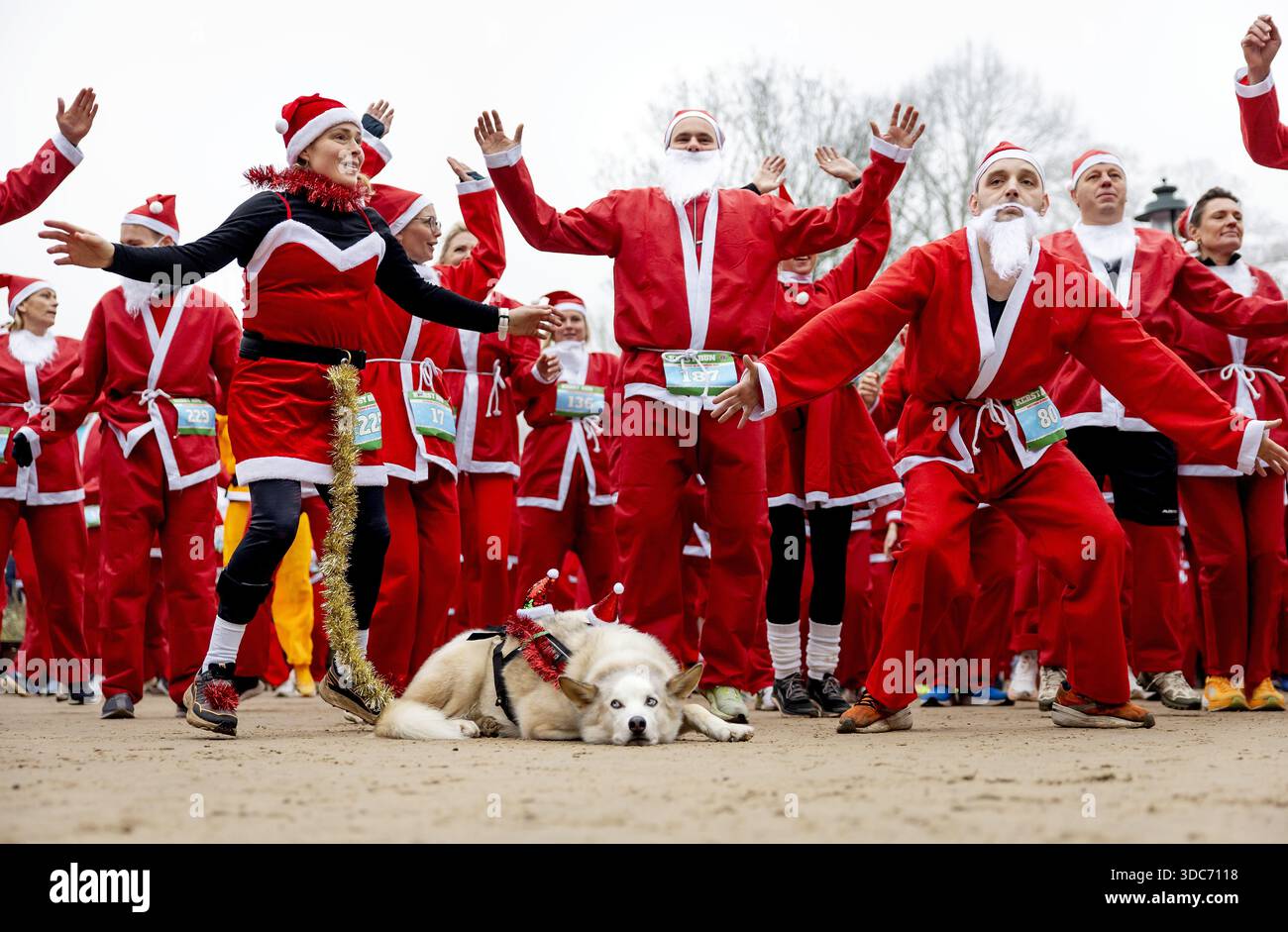 SCHOORL - Santa Clauses during the Santa Claus Run on the Climbing Dune ...