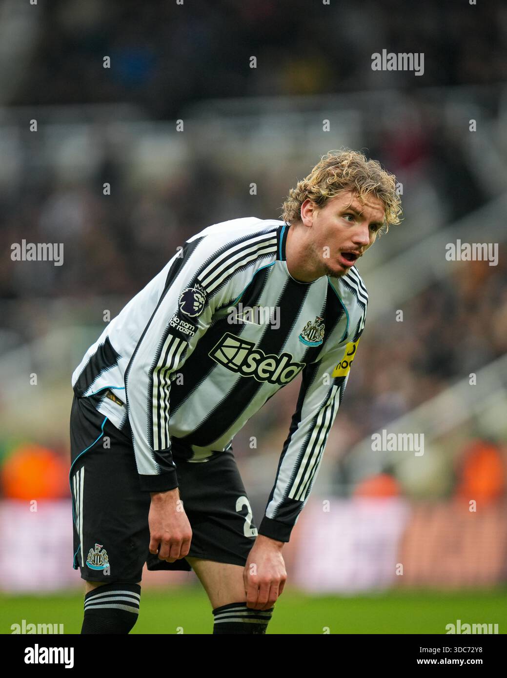 Nick Woltemade of Newcastle United during the Premier League match ...
