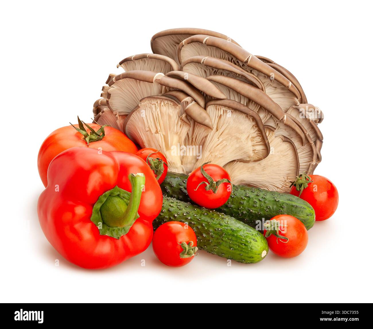 Mushroom forest colorful Cut Out Stock Images & Pictures - Alamy