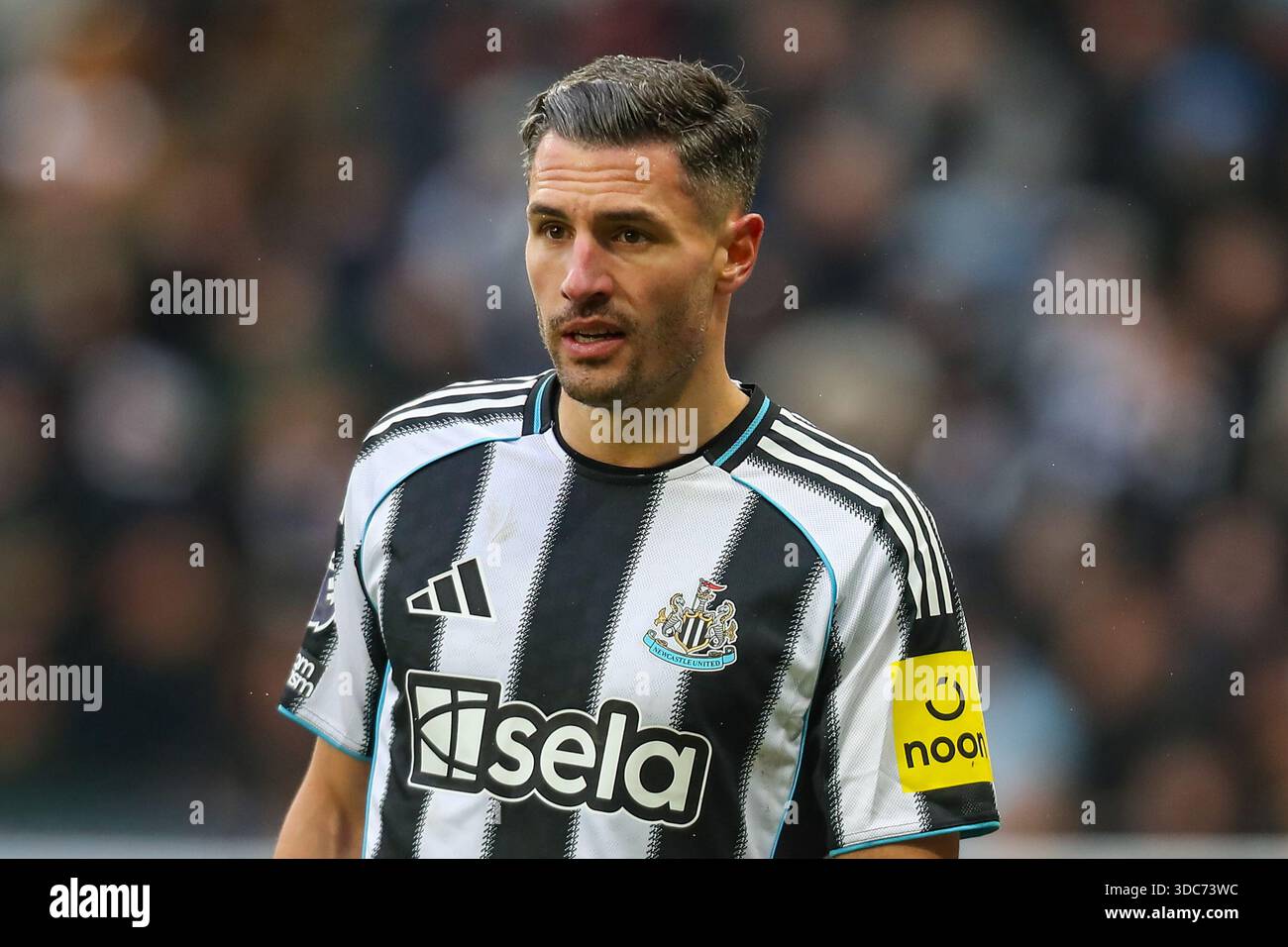 Fabian Schär Of Newcastle United during the Newcastle United v Chelsea ...
