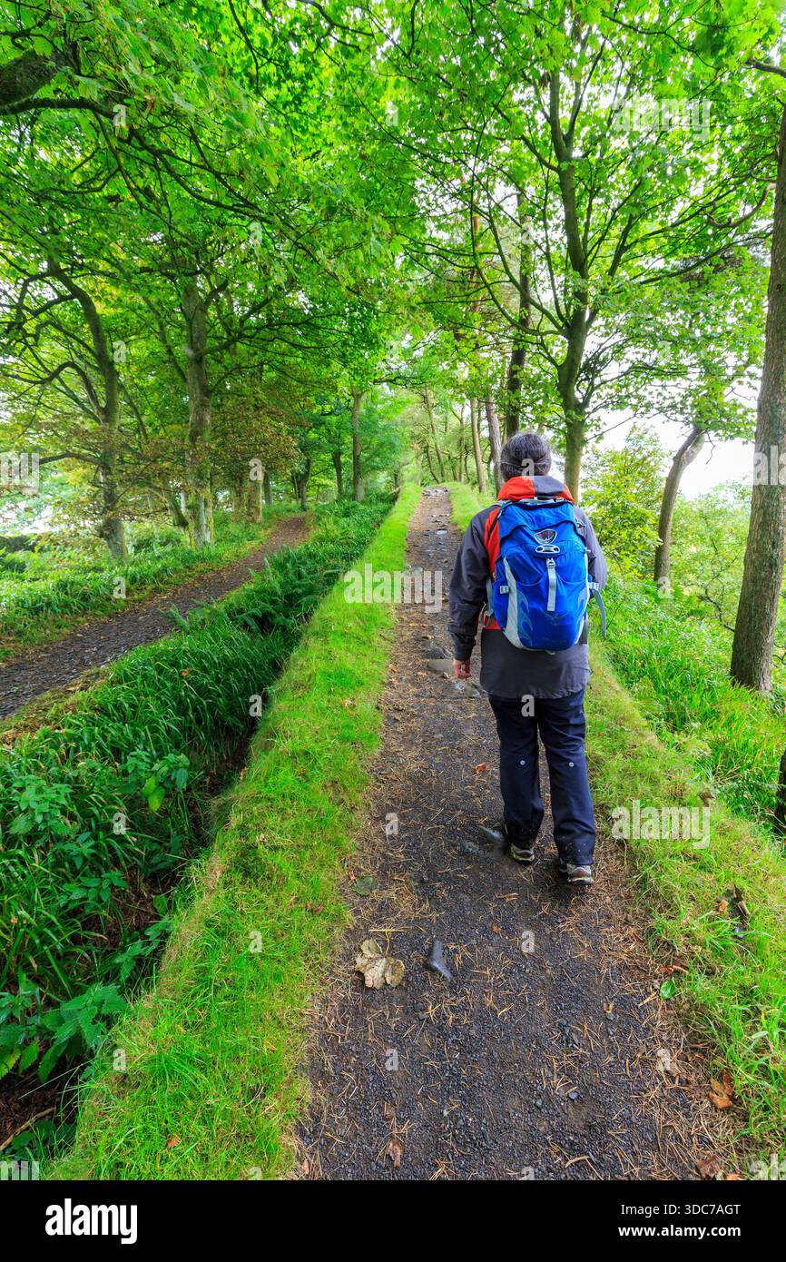 Walker on Hadrian's Wall Walk near Housesteads Roman Fort, Hadrian's ...