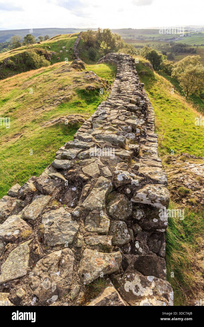 Hadrian's Wall near Walltown Visitor Centre, Northumberland, England ...