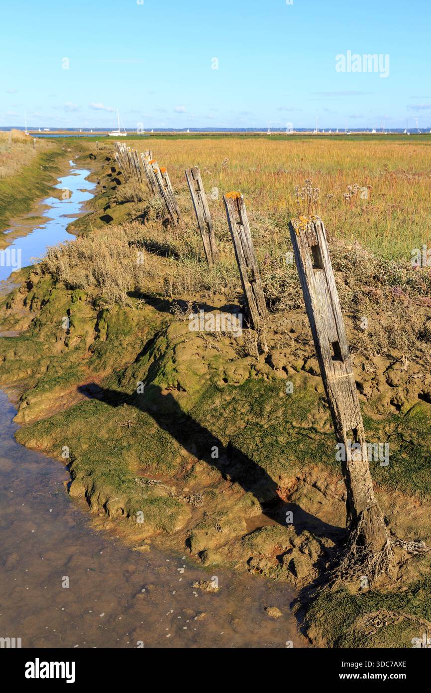 Salt marsh inlet with remains of old fence, Newtown Harbour NNR, Isle ...